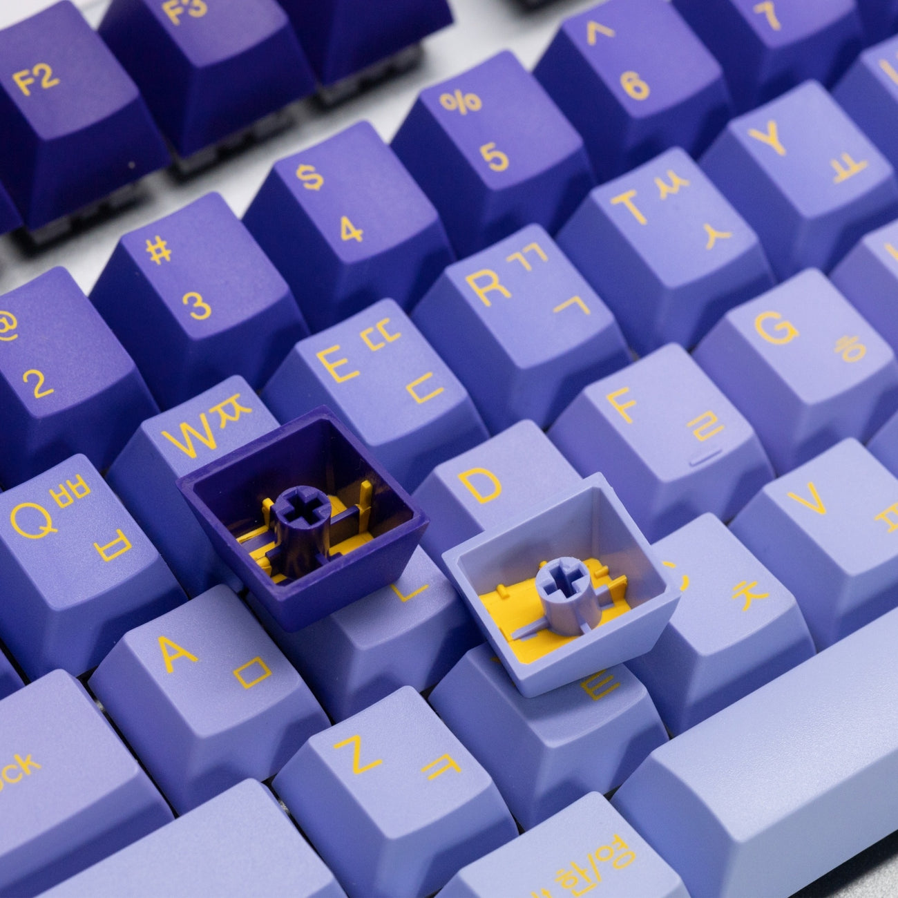 Tai-Hao Indigo Purple Gradient Hangul & English 117 Key Cubic Profile