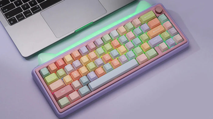 Chilkey Paw65 Aluminum 65% Hotswap Wireless RGB Keyboard