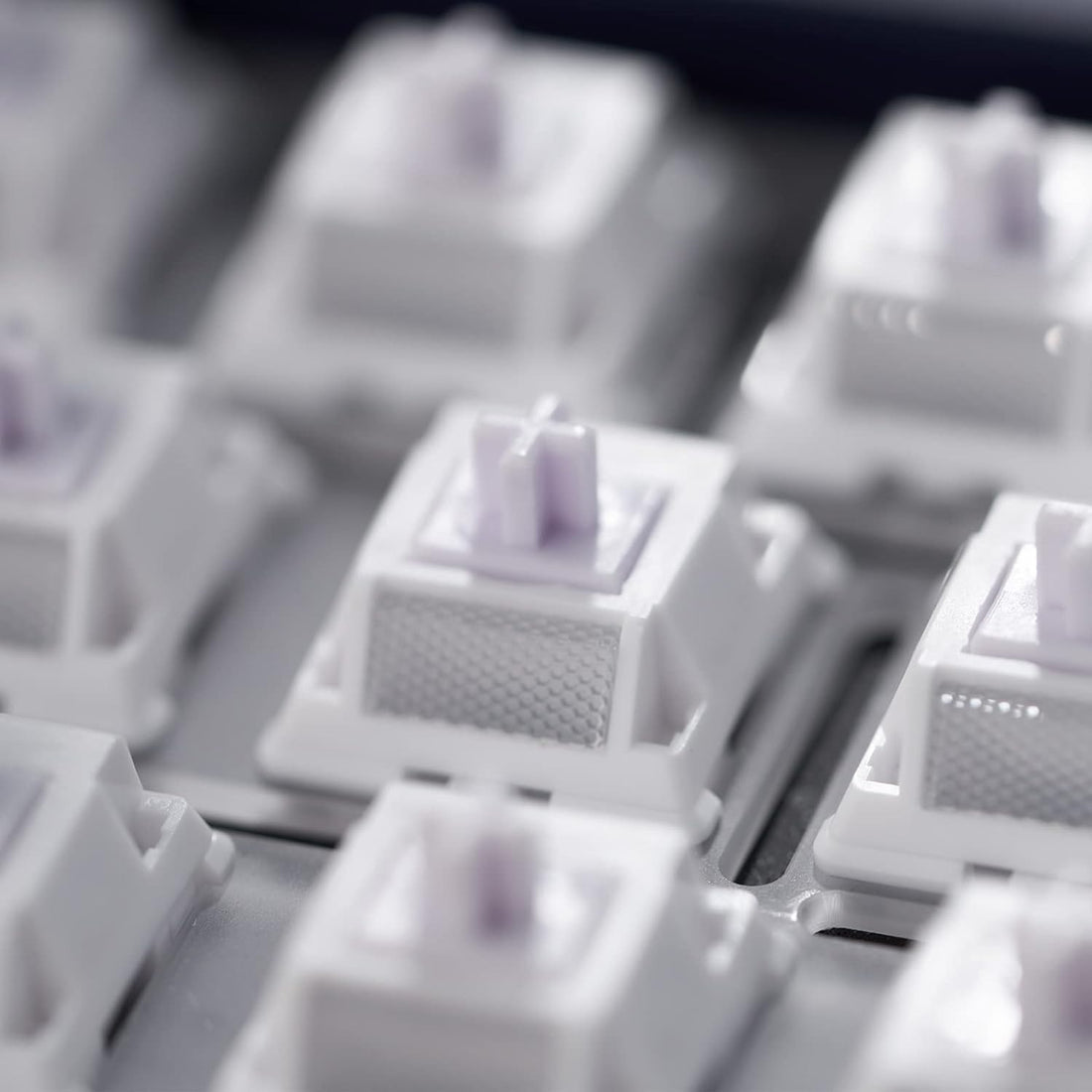 Wuque Studio Morandi 50g Linear PCB Mount Switch