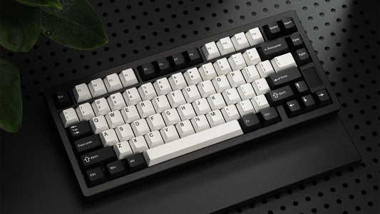 Mechanical Keyboards