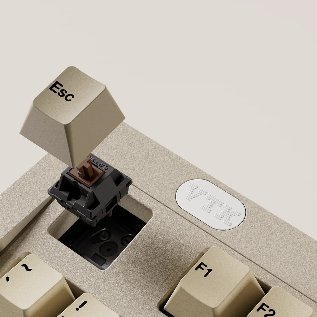 Vortex Model M SSK WK TKL Hotswap Bluetooth and Wireless 2.4 GHz. Mech