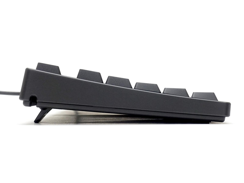 Filco Stingray TKL Low Profile Mechanical Keyboard