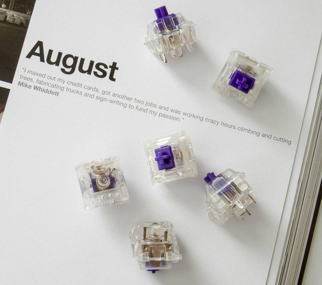 Zeal PC Purple Zealios V2 Tactile Switch