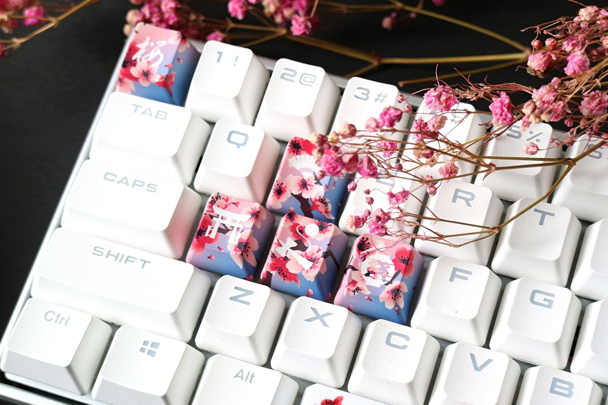 Traitors Sakura Shiro 6 Key OEM Profile Dye Sub Keycap Set