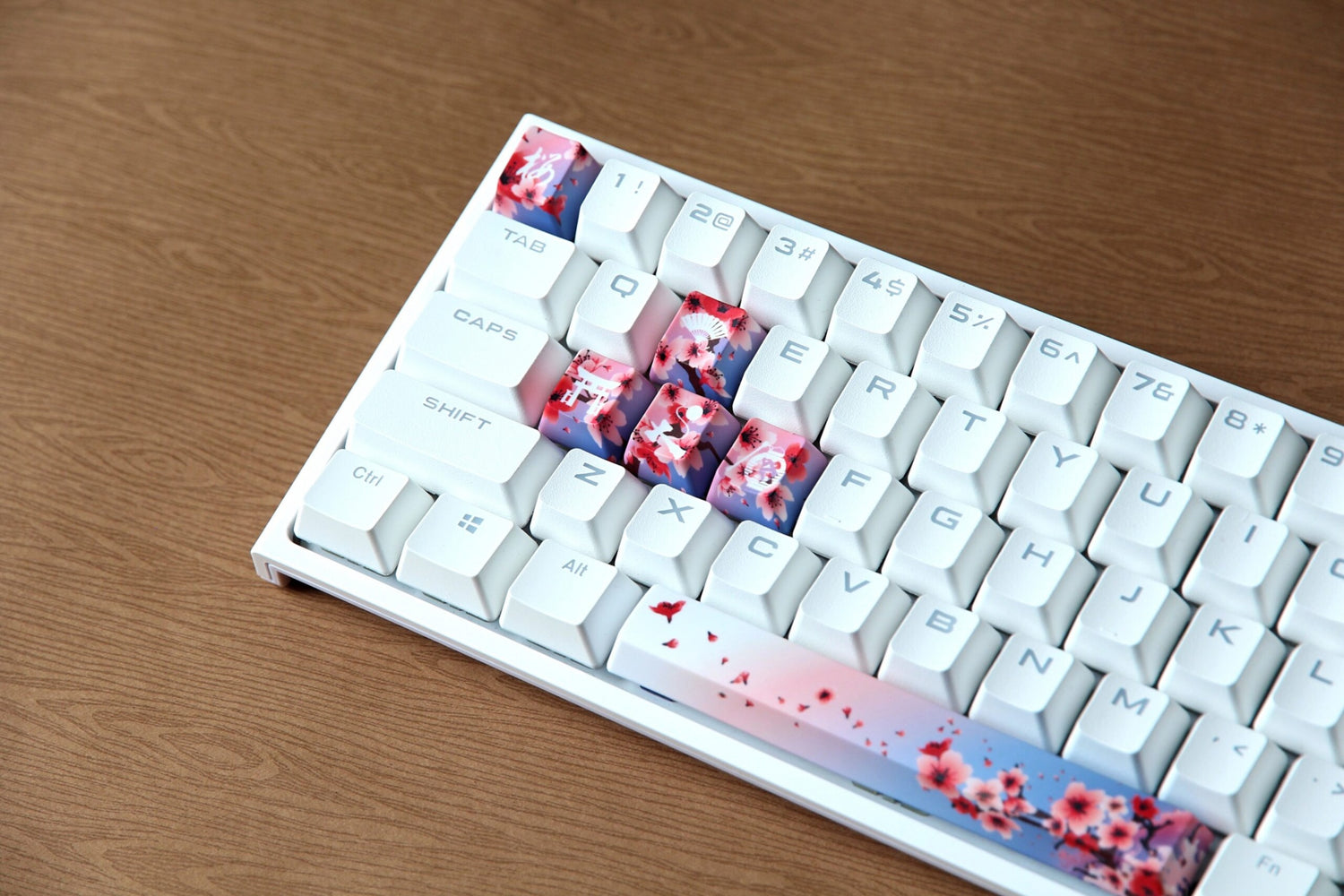 Traitors Sakura Shiro 6 Key OEM Profile Dye Sub Keycap Set