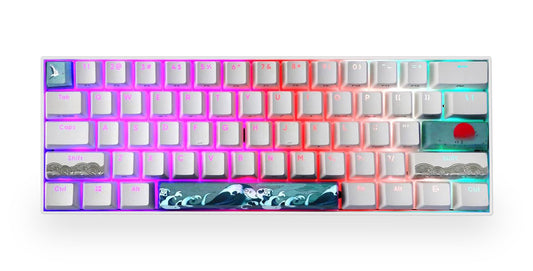 Mechanical Keyboards